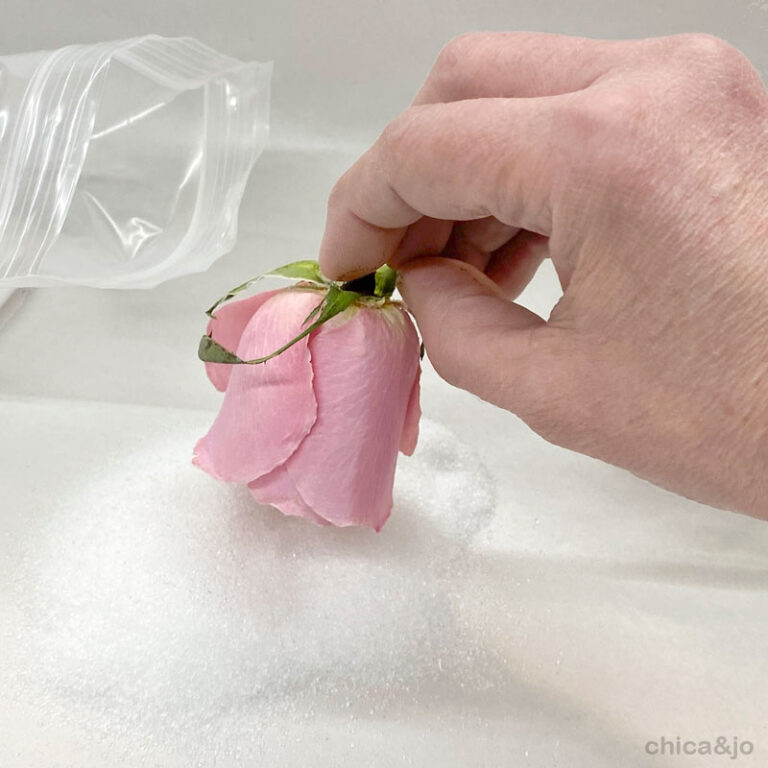 How to Dry Roses with Silica Gel | Chica and Jo