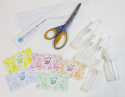 DIY Cooling Face Mist Spray Bottles with Printable Labels | Chica and Jo