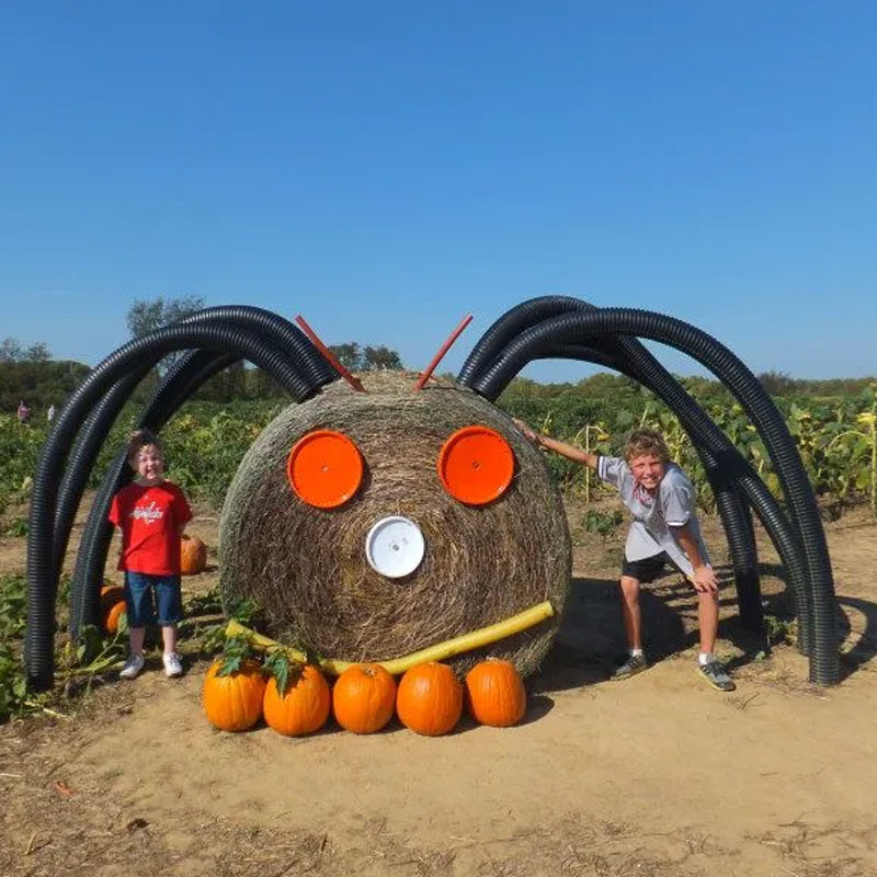 20 Best Pumpkin Patches and Fall Farms in Maryland (2025) | Chica and Jo