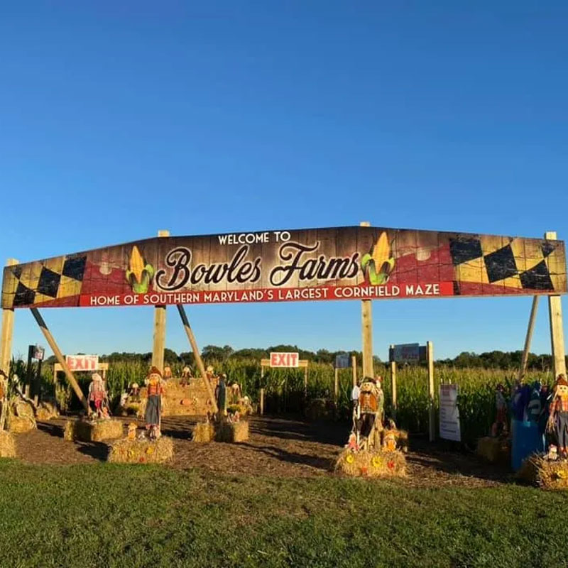 20 Best Pumpkin Patches and Fall Farms in Maryland (2025) | Chica and Jo