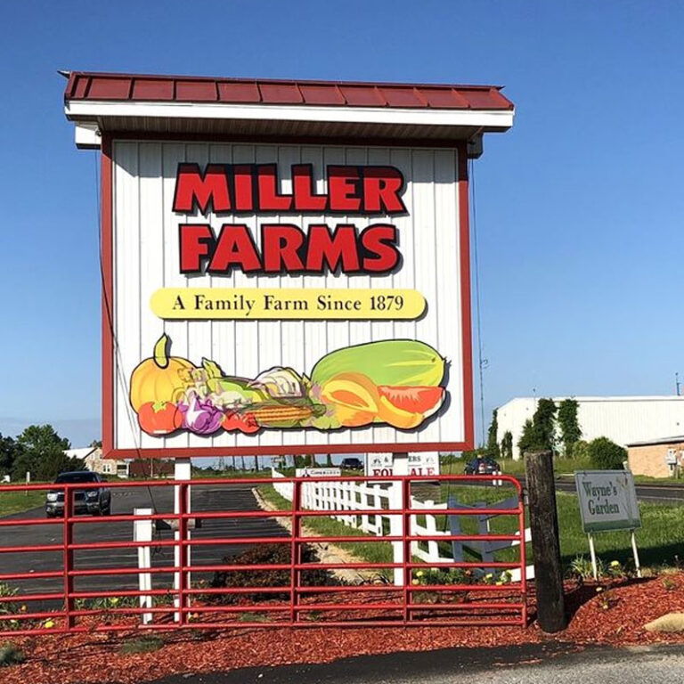 20 Best Pumpkin Patches and Fall Farms in Maryland (2025) | Chica and Jo